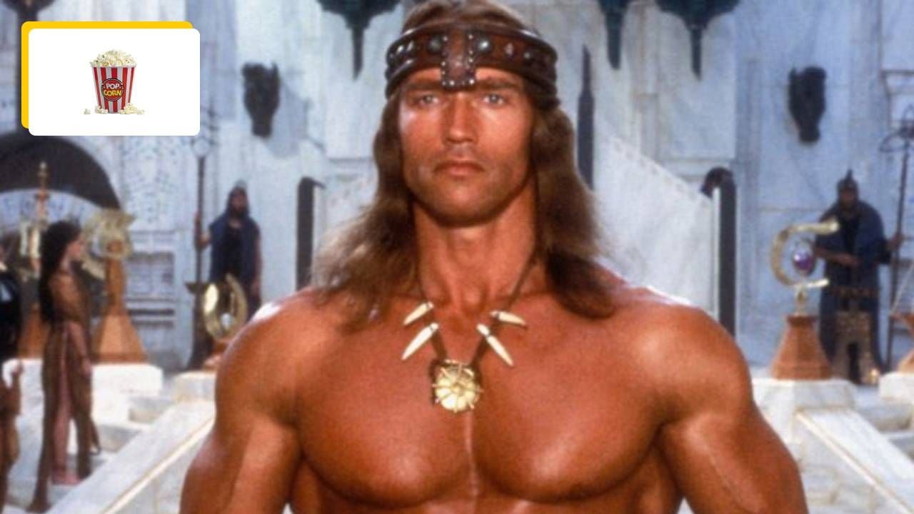 Ce film voulait rivaliser avec Conan le barbare : le résultat est un ...
