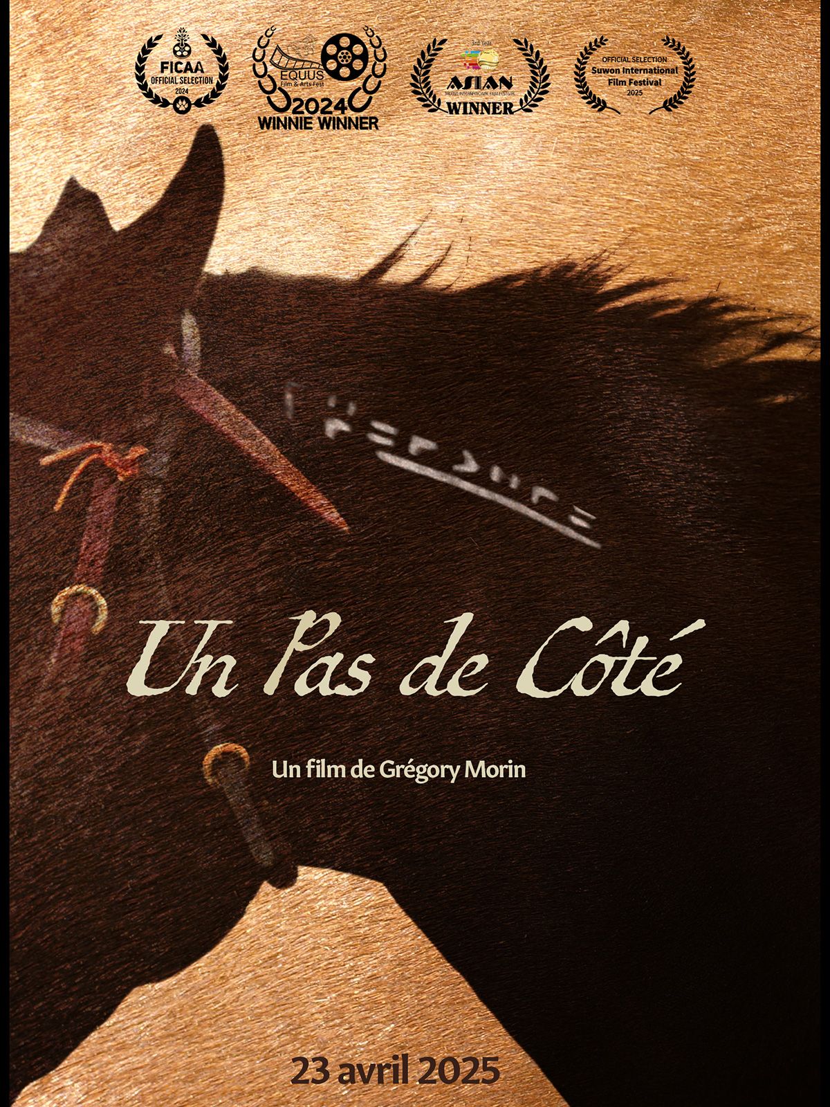 Cinémas et séances du film Un Pas de Côté - Mayenne - AlloCiné