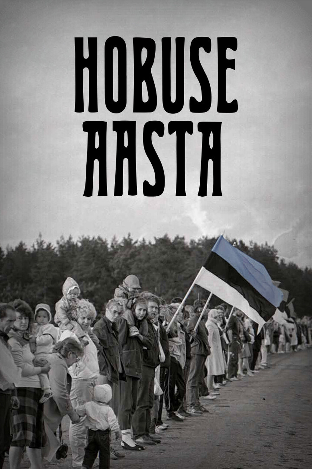 L’Année du cheval - Film documentaire 1991 - AlloCiné