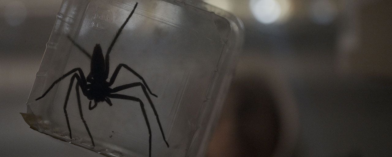 Vermines : avez-vous compris le message du film ? On vous explique la ...