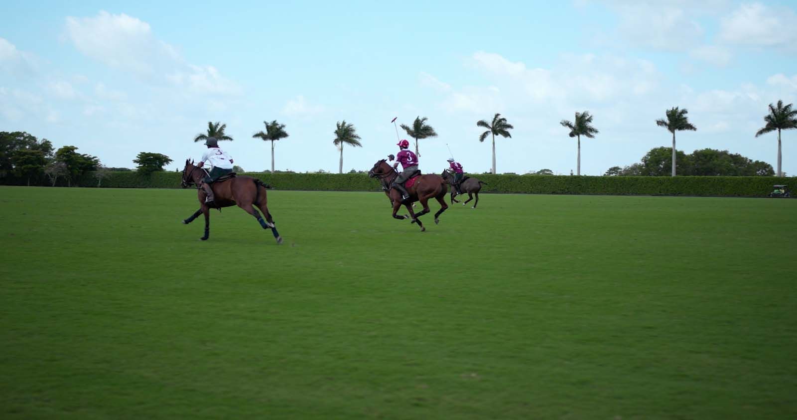 Polo : Polo : Photo - 10 sur 16 - AlloCiné