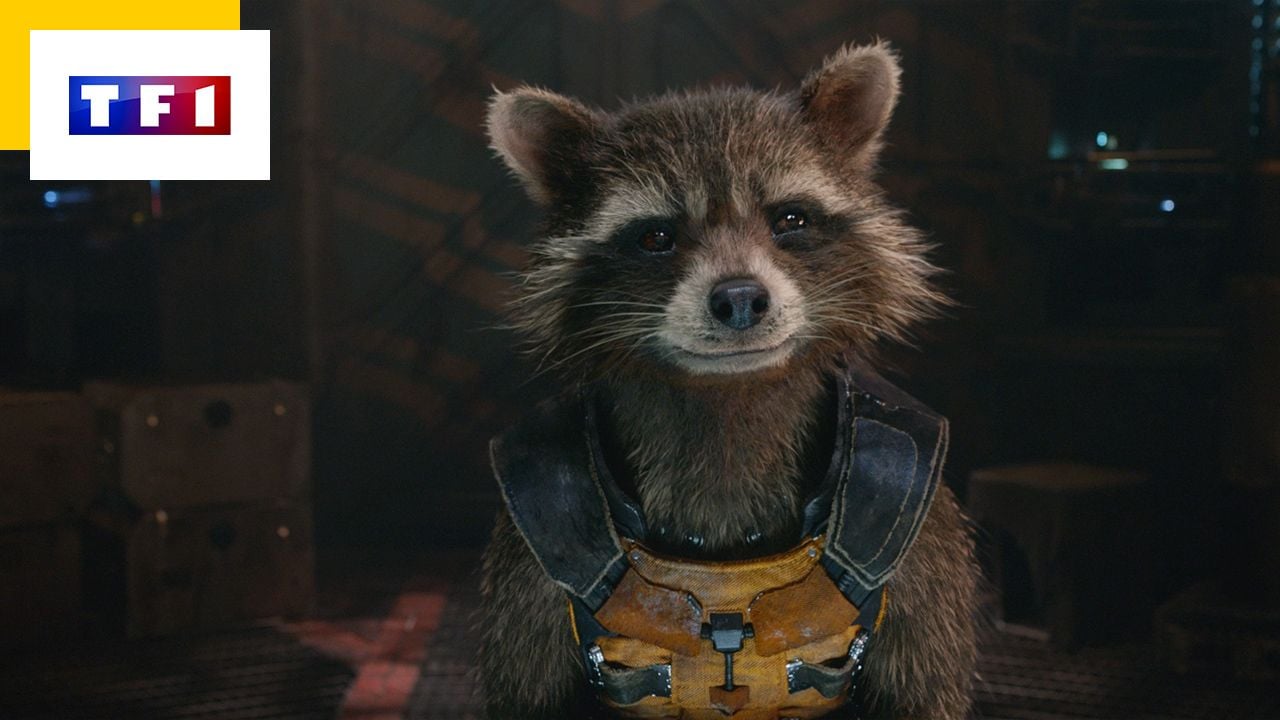 25 films à (re)découvrir sur les chaînes du groupe TF1 pendant les ...