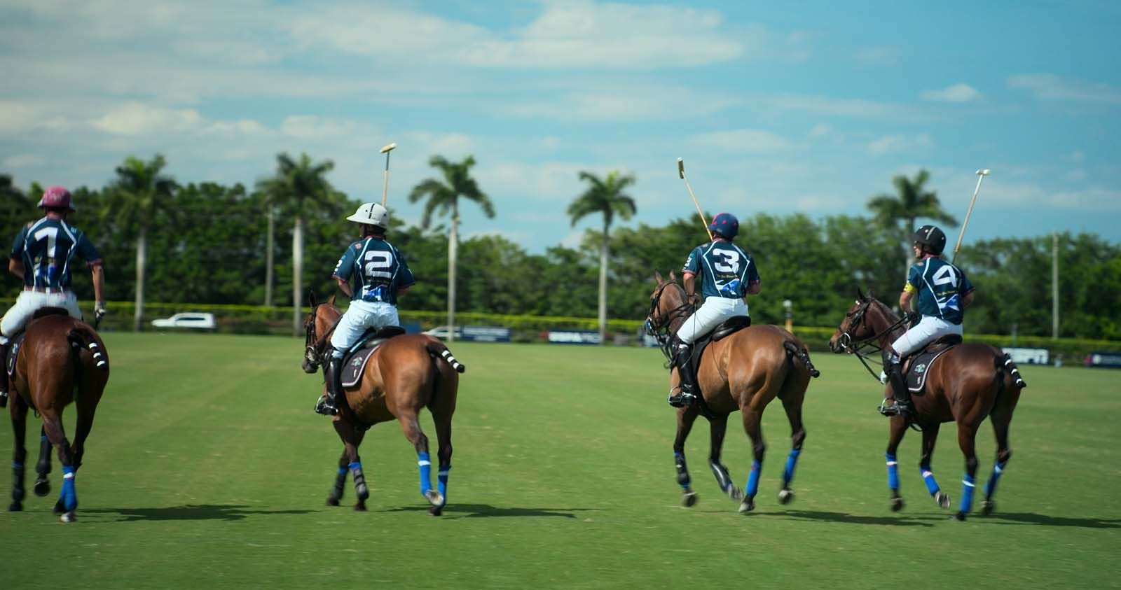 Polo : Polo : Photo - 12 sur 16 - AlloCiné