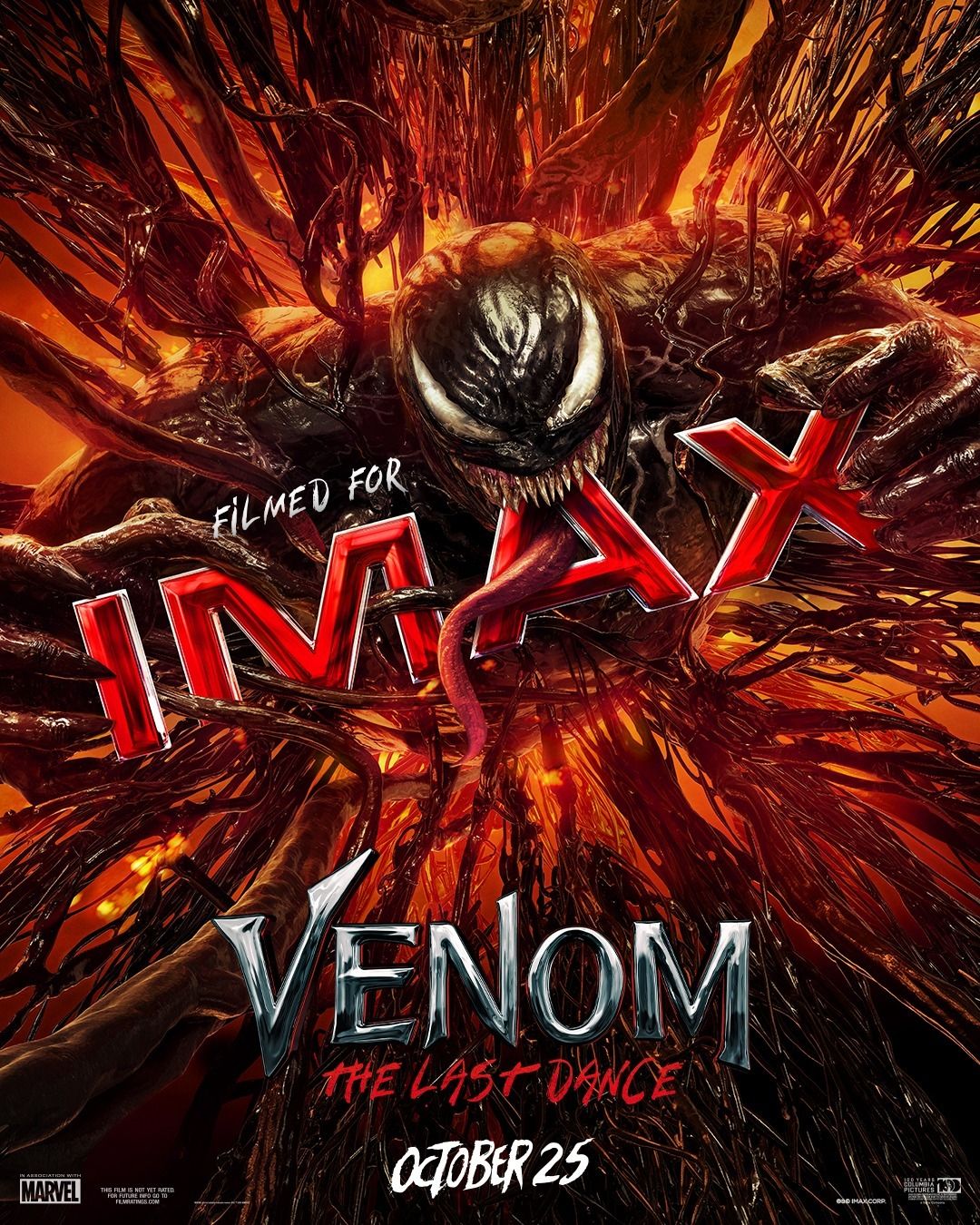 Affiche du film Venom: The Last Dance - Photo 30 sur 32 - AlloCiné