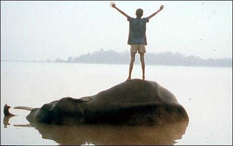 Photo du film Hathi - Photo 3 sur 3 - AlloCiné