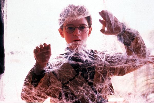 Photo du film Arac attack, les monstres à huit pattes - Photo 4 sur 12 ...