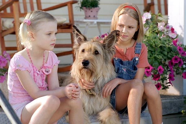 Photo de AnnaSophia Robb - Winn-Dixie mon meilleur ami : Photo Wayne ...