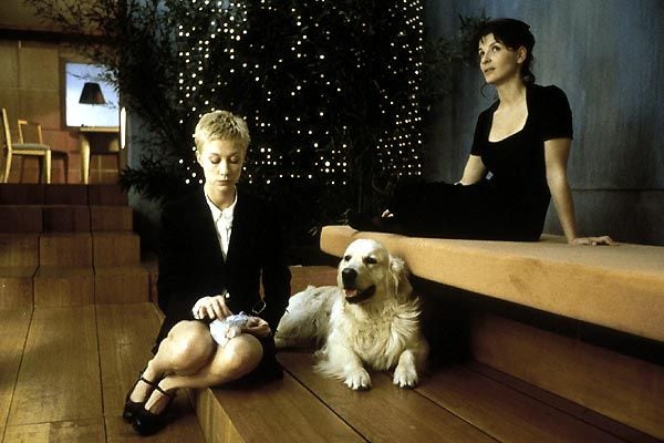 Photo de Chantal Akerman - Un Divan à New York : Photo Chantal Akerman ...