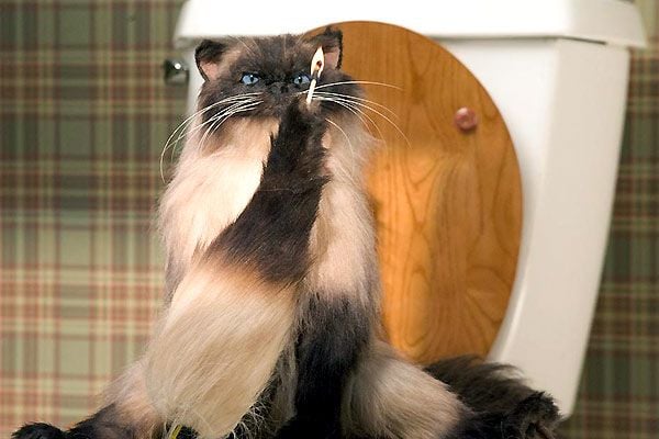 Photo de Jason Friedberg - Sexy movie : Photo Aaron Seltzer, Jason ...