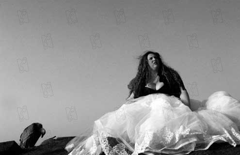 Photo du film Avida - Photo 1 sur 19 - AlloCiné