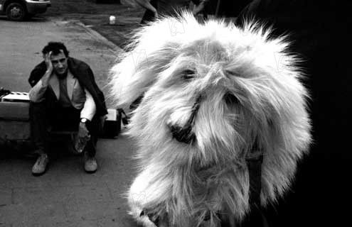 Photo du film Avida - Photo 9 sur 19 - AlloCiné