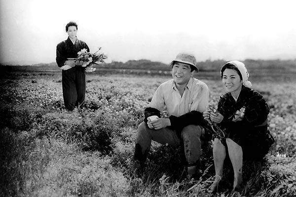 Photo de Chikage Awashima - Nuages d'été : Photo Chikage Awashima, Isao Kimura, Mikio Naruse ...