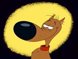 Rantanplan Wallpaper