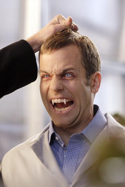 Moonlight : Moonlight : Photo - 21 sur 66 - AlloCiné