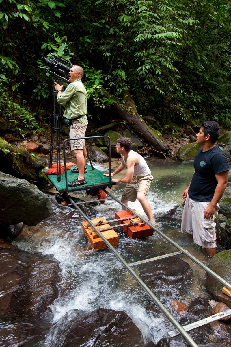 Photo du film Pollen - Photo 12 sur 74 - AlloCiné