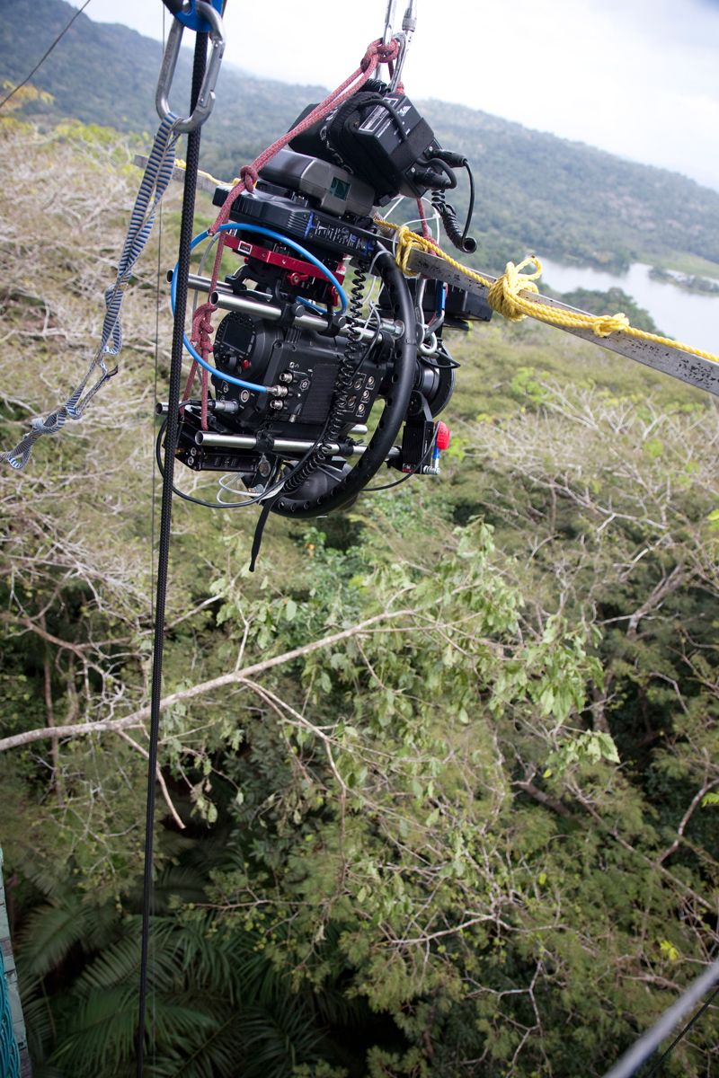 Photo du film Pollen - Photo 33 sur 74 - AlloCiné