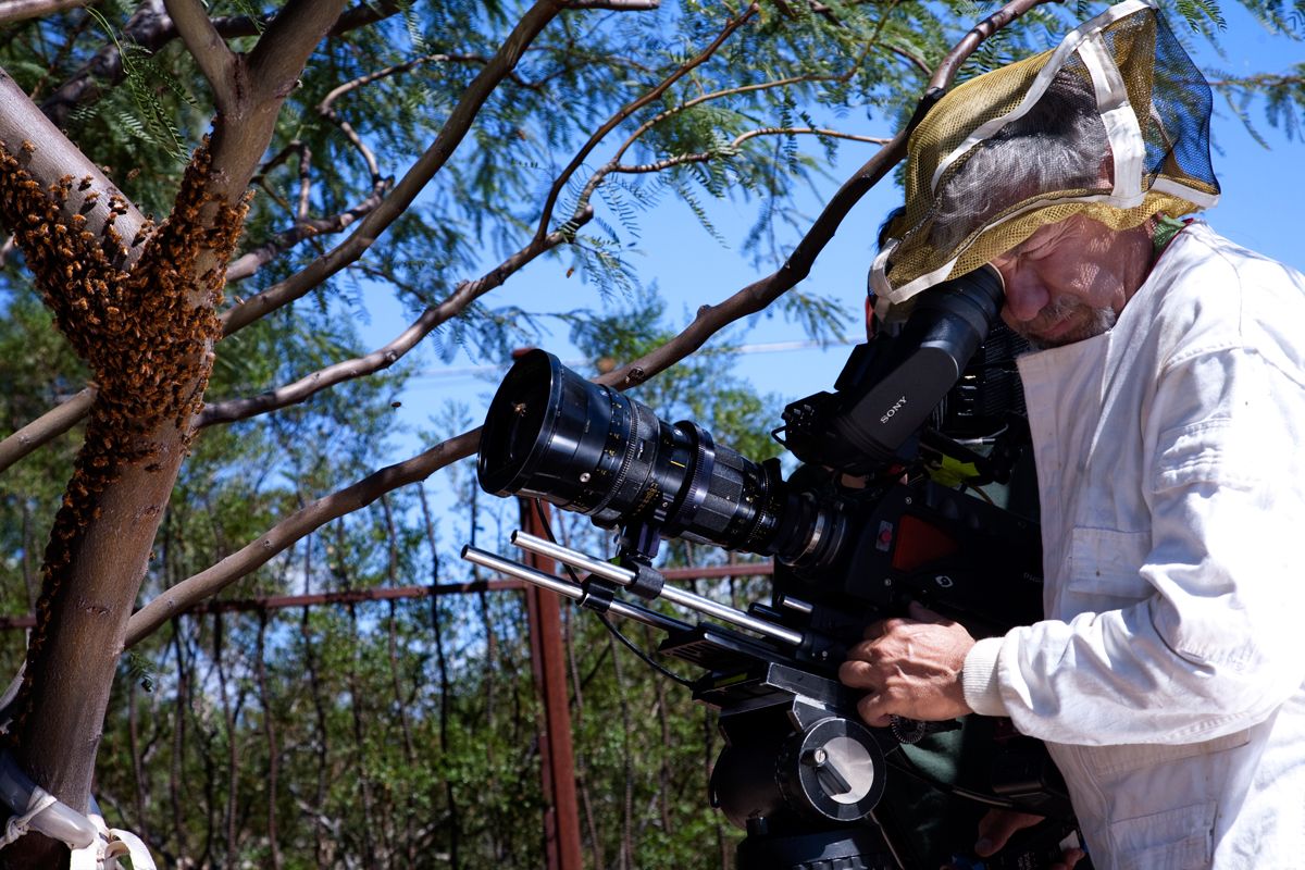 Photo du film Pollen - Photo 21 sur 74 - AlloCiné