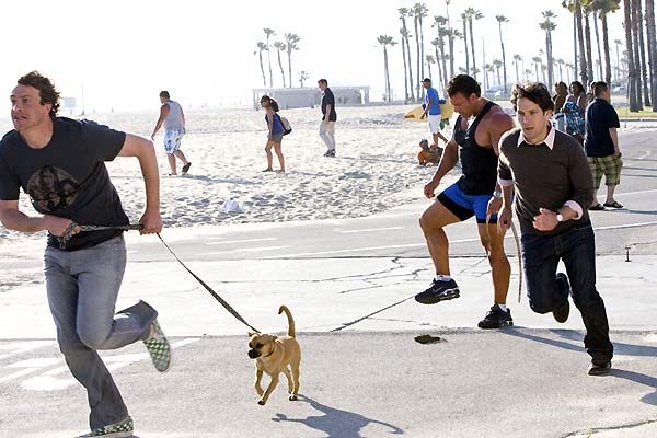 Photo de Jason Segel - I Love You, Man : Photo Paul Rudd, John Hamburg ...