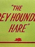 The Grey Hounded Hare - Court Métrage - AlloCiné