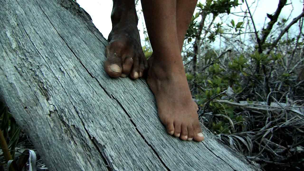 Photo du film Alamar - Photo 5 sur 7 - AlloCiné