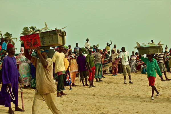 Alakrana : Alakrana : Photo - 3 sur 24 - AlloCiné