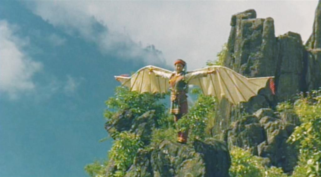 Photo de Takashi Miike - Bird people in China : Photo Li Li Wang ...