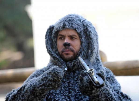 Wilfred (2011) : Wilfred (2011) : Photo Jason Gann - 24 sur 85 - AlloCiné