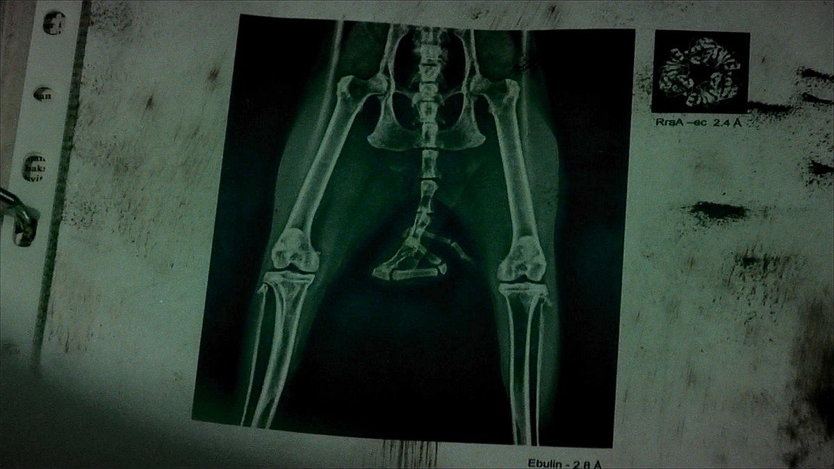 Photo du film Thale - Photo 8 sur 9 - AlloCiné