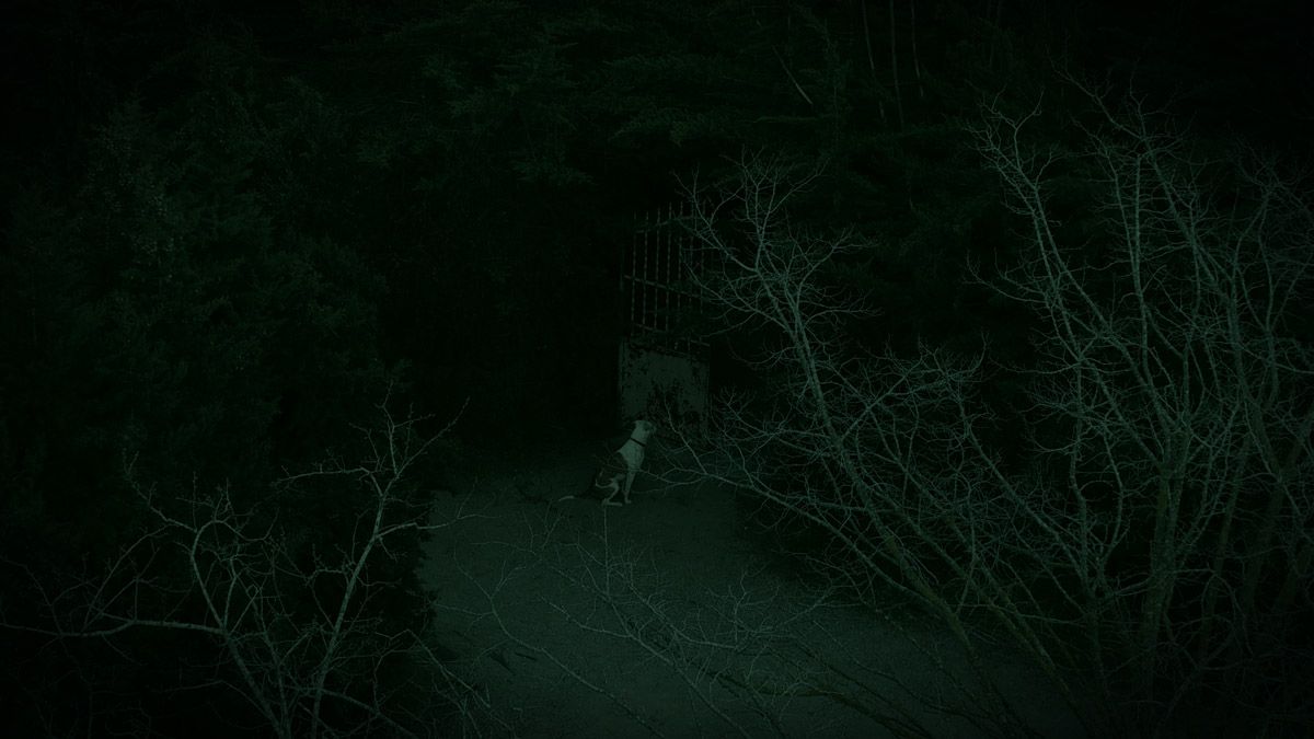Photo du film Atrocious - Photo 3 sur 20 - AlloCiné