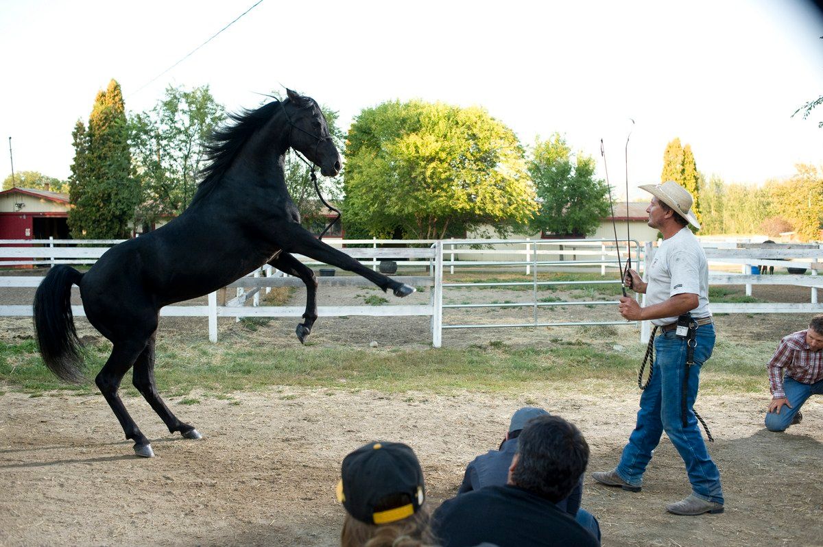 Photo du film Flicka 3 : Meilleures amies - Photo 5 sur 11 - AlloCiné