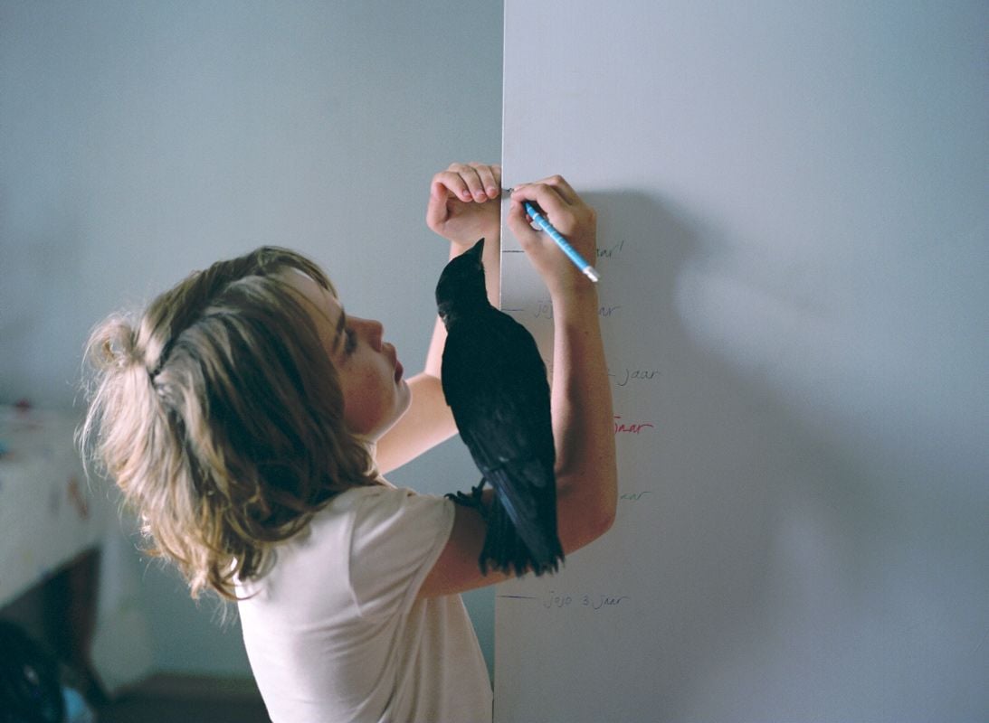 Photo du film Little Bird - Photo 4 sur 6 - AlloCiné