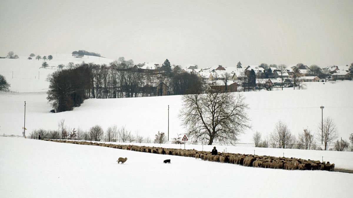 Photo du film Hiver nomade - Photo 19 sur 19 - AlloCiné
