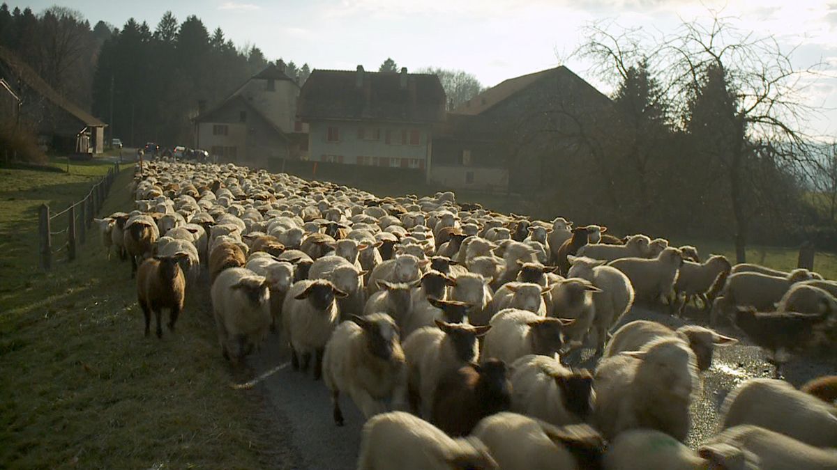 Photo du film Hiver nomade - Photo 4 sur 19 - AlloCiné