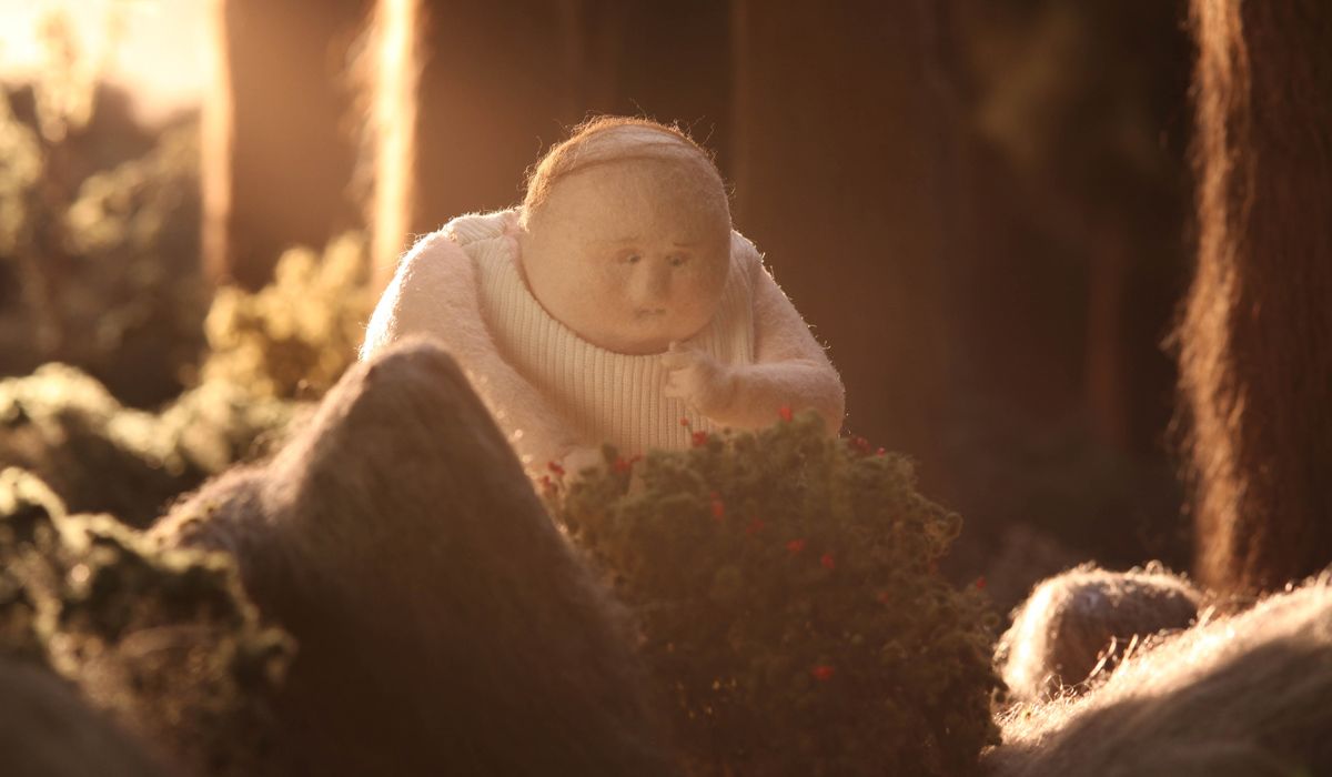 Photo de Oh Willy... - Photo 3 sur 4 - AlloCiné