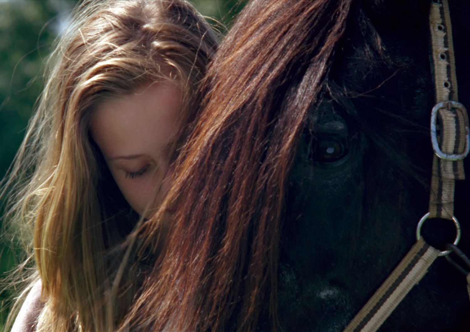 Photo du film Coming Home - Photo 5 sur 5 - AlloCiné