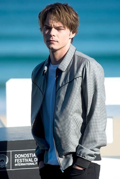 Charlie Heaton, Anya Taylor-Joy... Qui sont les héros du Secret des ...