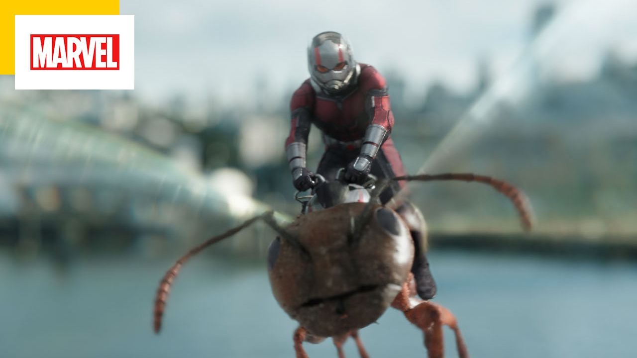 Ant-Man 3 : quand sortira le film ? - Actus Ciné - AlloCiné
