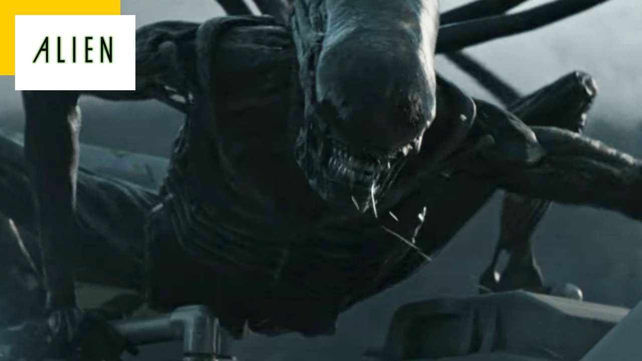 Alien : un nouveau film produit par Ridley Scott en préparation - Actus ...