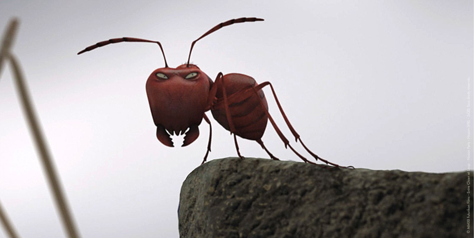 Photo du film Minuscule - La vallée des fourmis perdues - Photo 18 sur ...