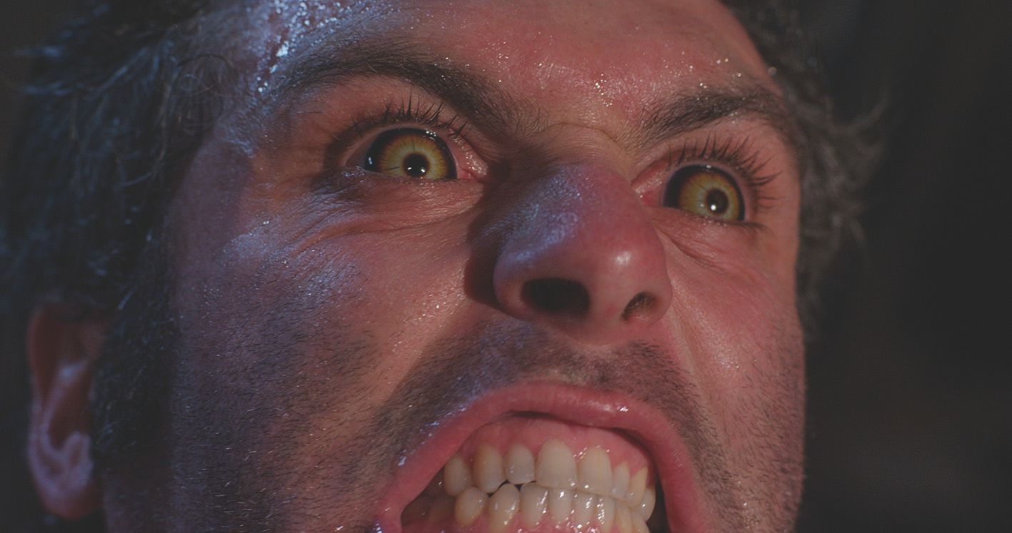 Photo du film Wolfcop - Photo 6 sur 8 - AlloCiné