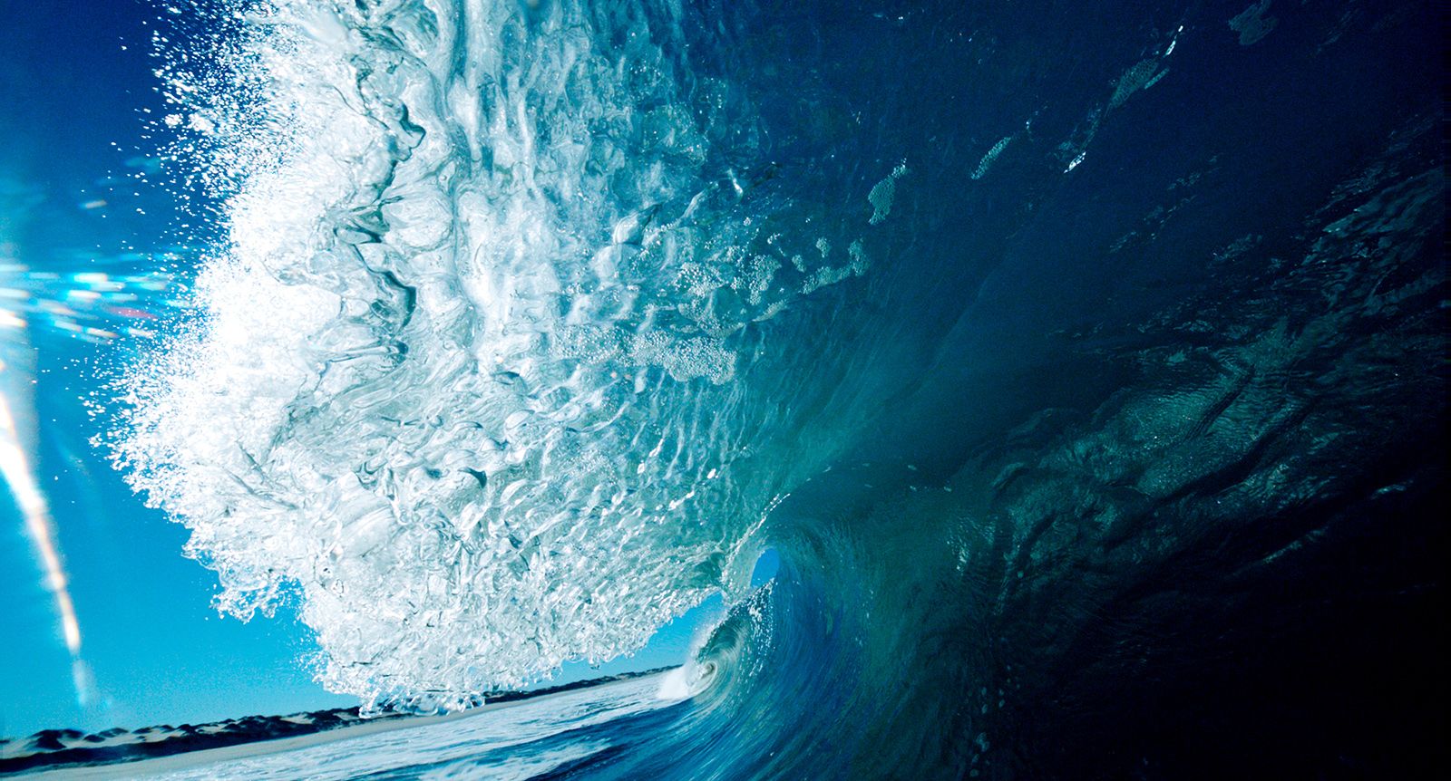 Photo du film Nature - Photo 39 sur 42 - AlloCiné