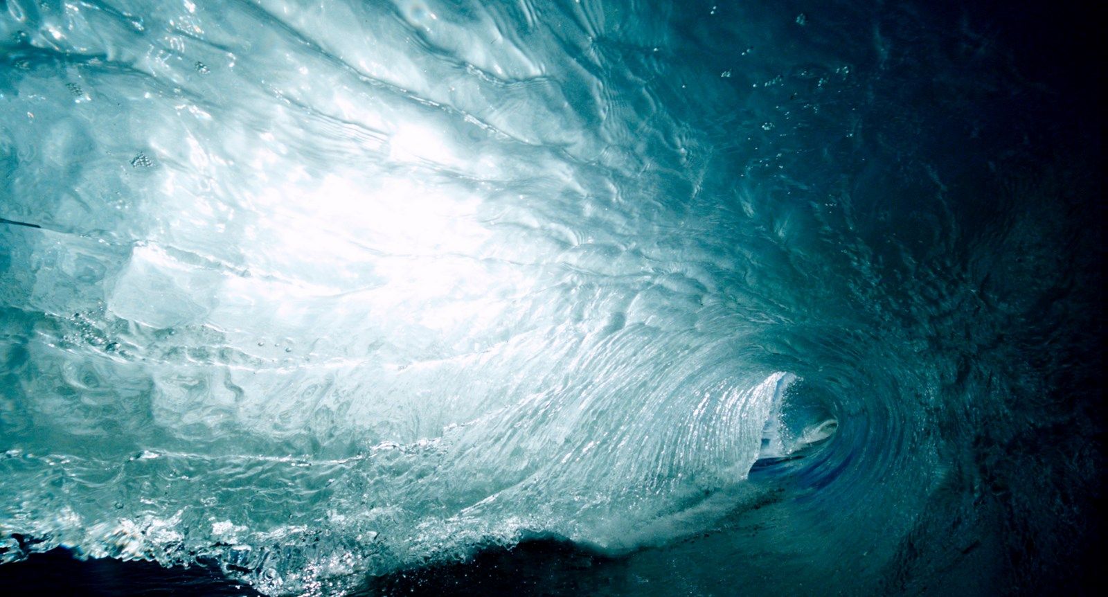 Photo du film Nature - Photo 19 sur 42 - AlloCiné