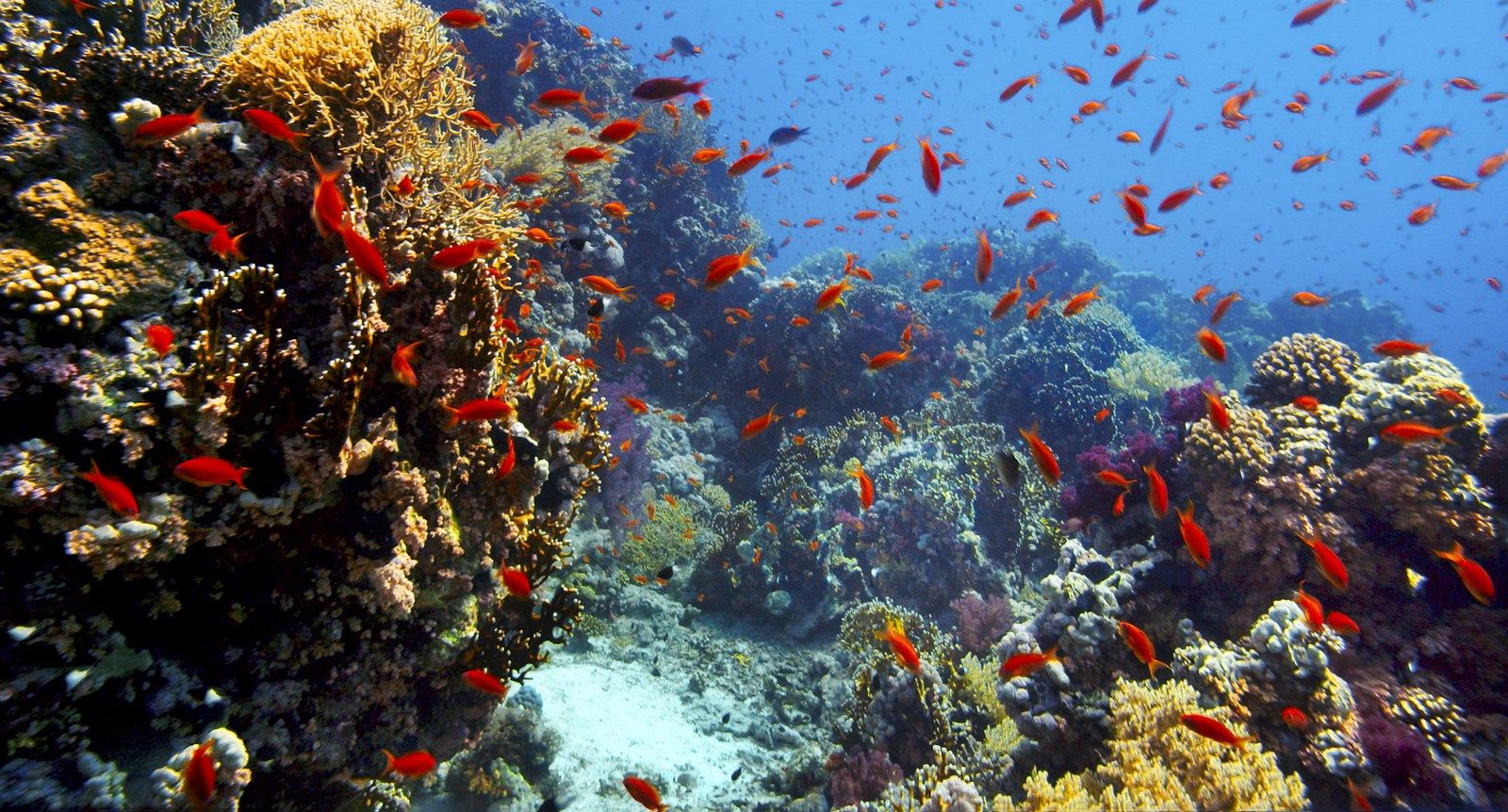 Photo du film Nature - Photo 18 sur 42 - AlloCiné