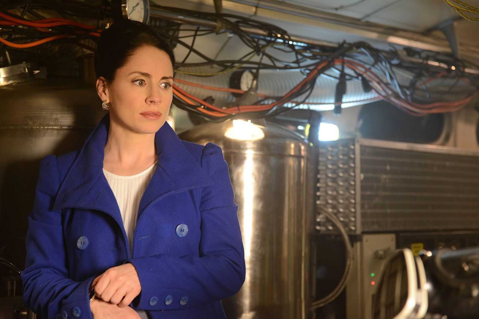 Photo de Laura Fraser - Breaking Bad : Photo Laura Fraser - Photo 4 sur ...