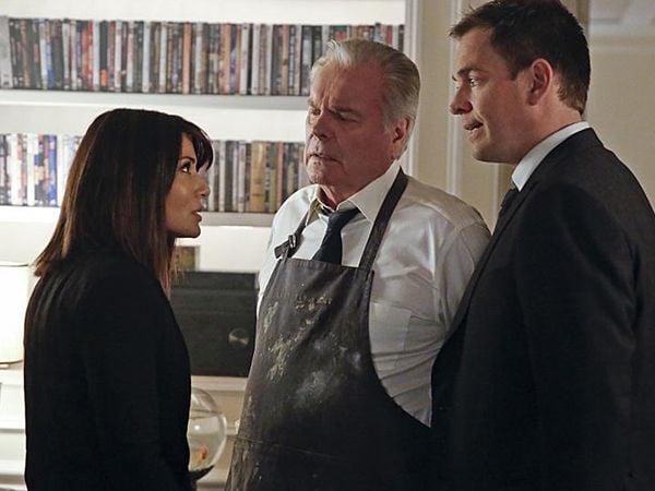 NCIS : Enquêtes spéciales : NCIS : Enquêtes spéciales : Photo Robert ...