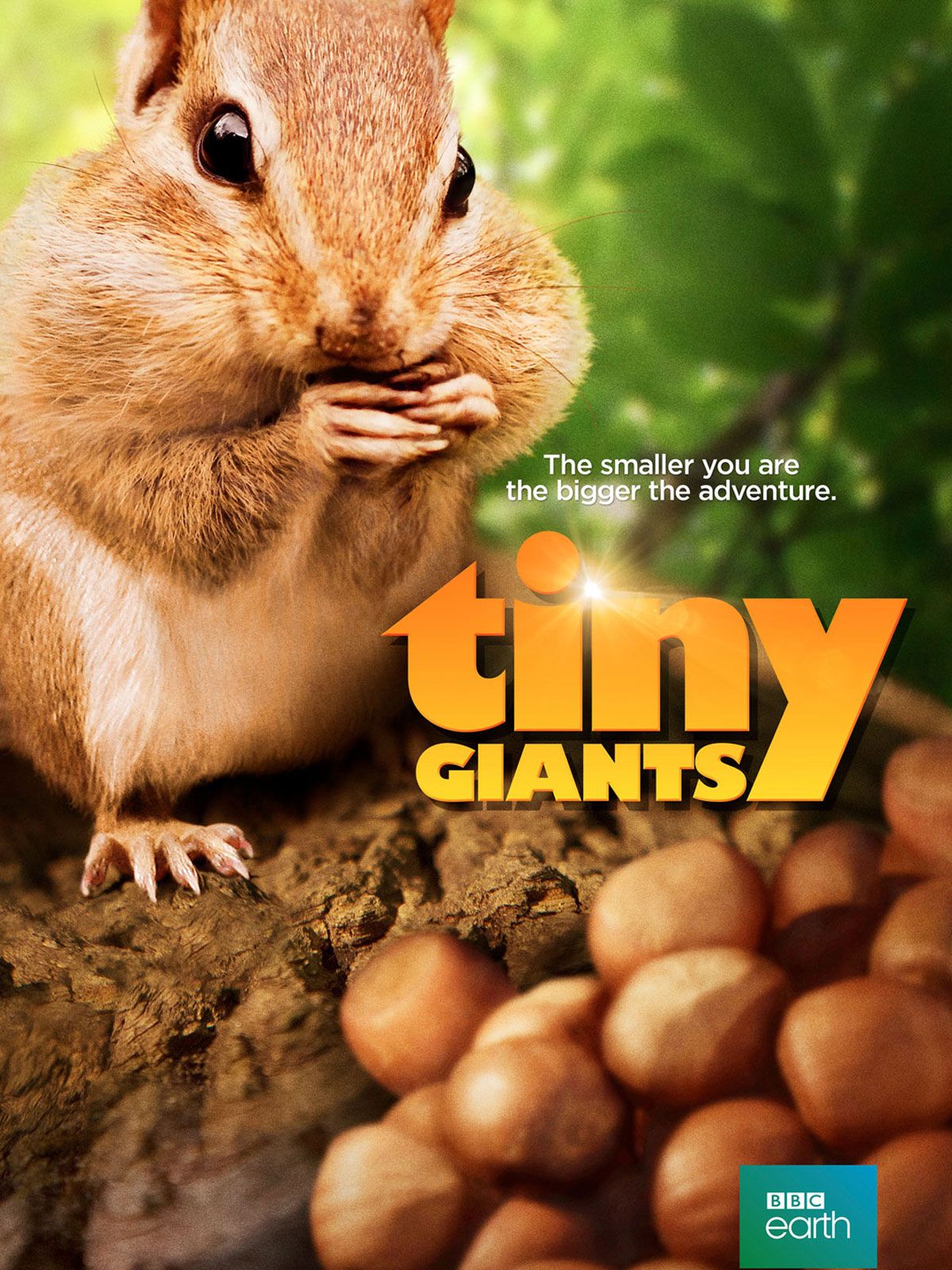 Mini héros - Film documentaire 2015 - AlloCiné