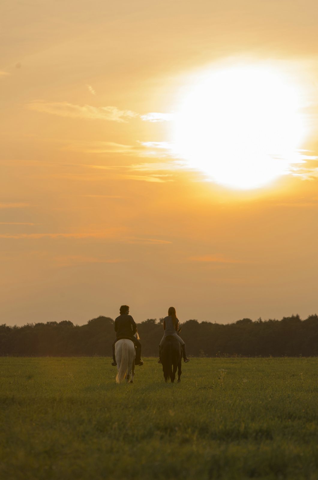 Photo du film Whisper 2 - Photo 15 sur 40 - AlloCiné