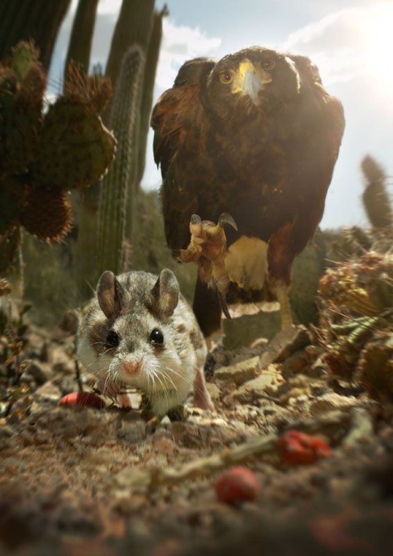 Photo du film Mini héros - Photo 26 sur 28 - AlloCiné