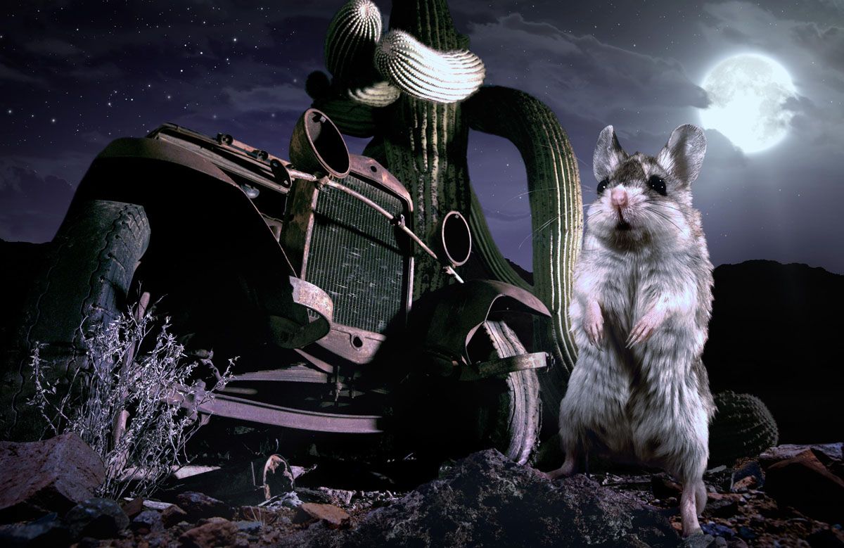 Photo du film Mini héros - Photo 25 sur 28 - AlloCiné