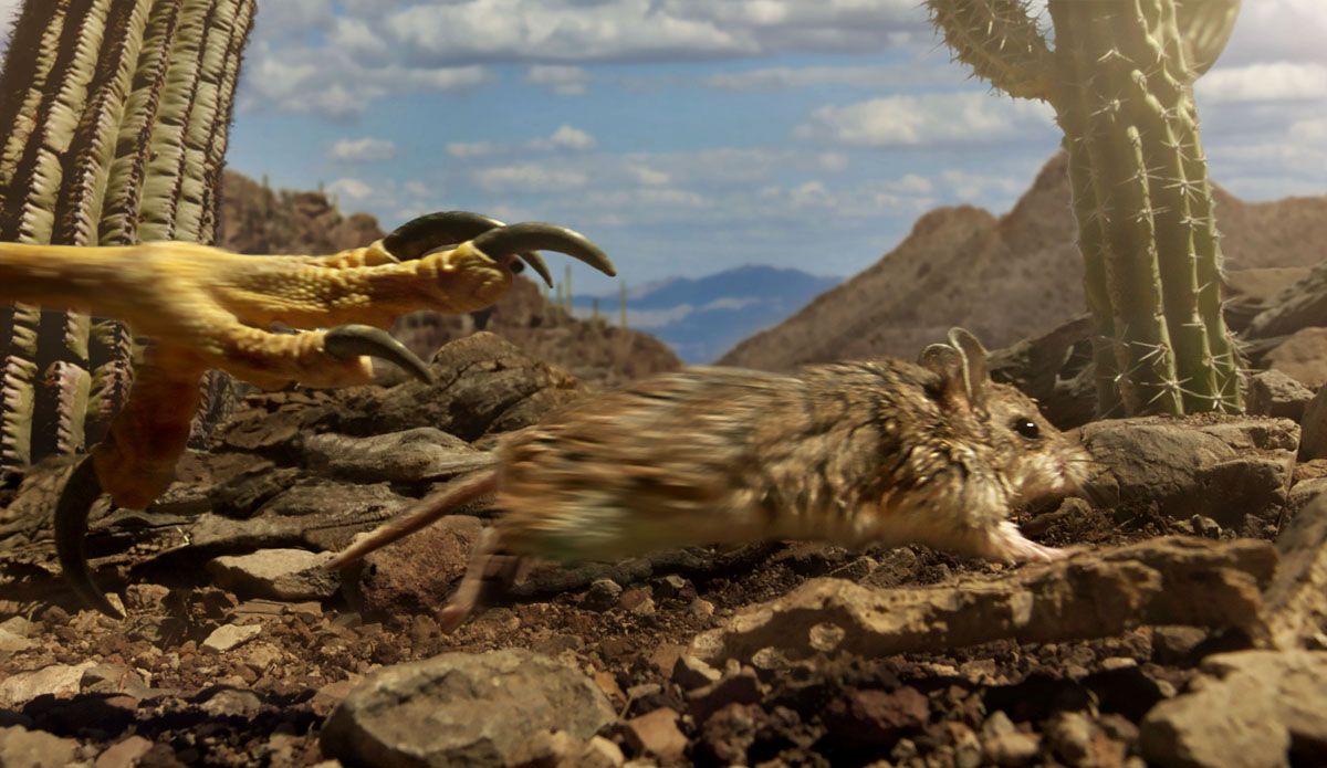 Photo du film Mini héros - Photo 17 sur 28 - AlloCiné